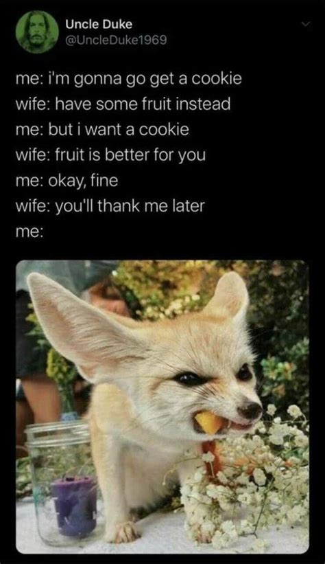 The Best Fruit Memes Memedroid