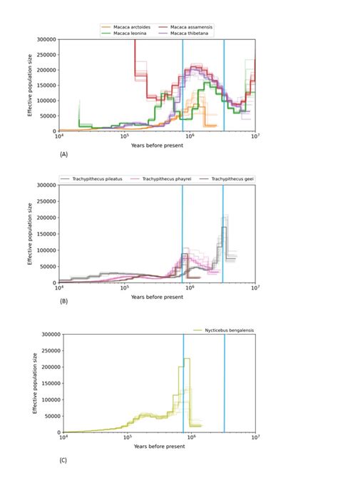 Historical Demography And Species Distribution Models Shed Light On