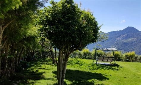 寒暑假二人平日特惠 清境摘星花園山莊