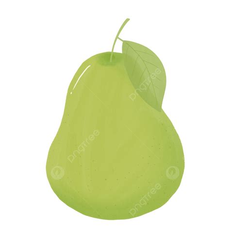 Pear Sketch PNG Vector PSD And Clipart With Transparent Background For Free Download Pngtree