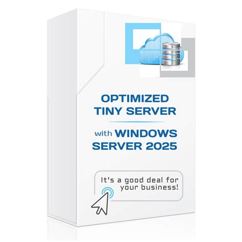 Optimized Tiny Server With Windows Server 2025 Belinda Cz S R O