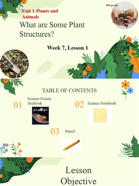 Science Week 7 Lesson 1 Pdf Plants Leaf
