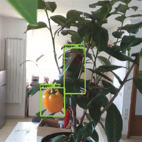 Figure 6 From Procedural Generation Of Synthetic Dataset For Robotic Applications In Sweet