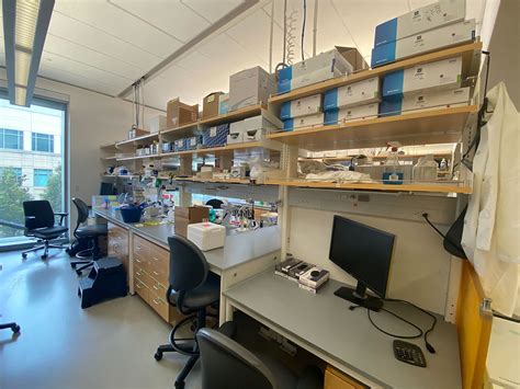 News Rubin Lab