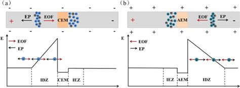 Schematic Diagram Of Two Kinds Of Icp Effects A Icp Effect At Cem
