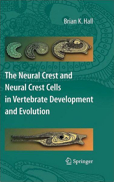 The Neural Crest And Neural Crest Cells In Vertebrate Development And Evolution By Brian K Hall