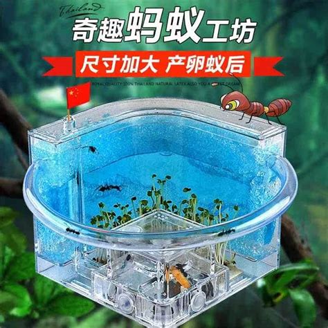 蚁巢制作 自己做 第3页 大山谷图库