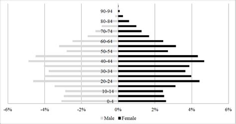The Age Pyramid Of China From The 2012 Population Census Source