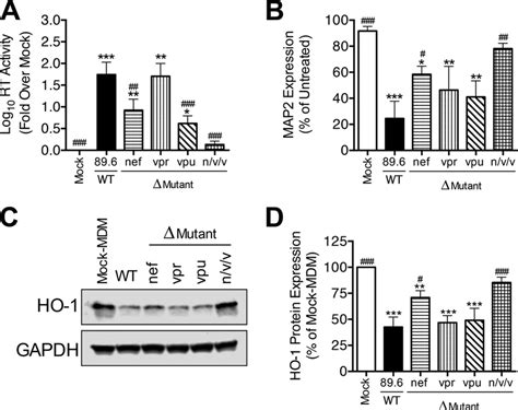 Hiv 1 Accessory Genes Nef Vpr And Vpu Are Not Required For Induction