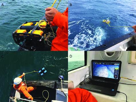 A Lançamento do ROV B Equipamento submergindo C Técnico fazendo o Download Scientific