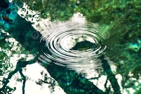 나무 그림자 샘물 수면 파문 무늬 내 눈 에 보 이 는 세상 물 리플 리플 물방울 배경 일러스트 및 사진 무료 다운로드 Pngtree