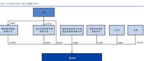 独立ssd主控芯片厂商竞争格局 2025年05月 行业研究数据 小牛行研