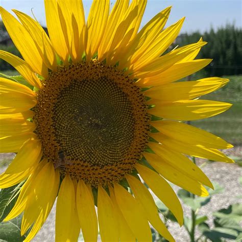 Giulia Gentili On Linkedin Eroc Sustainability