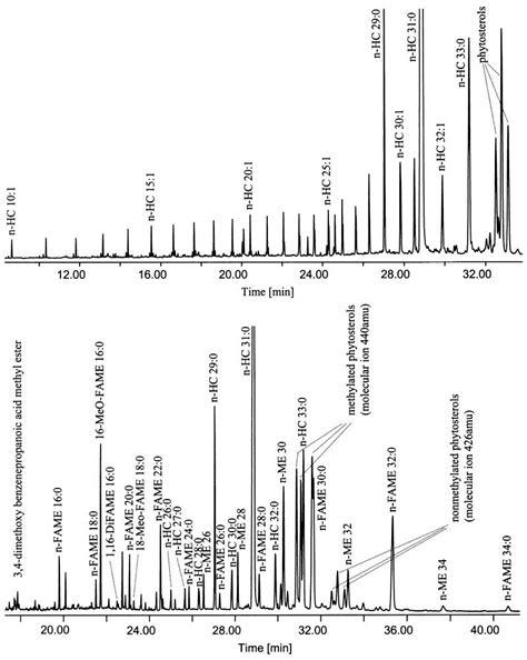 Gc Traces Of Candelilla Wax Obtained From Py Gc Ms Top Filament