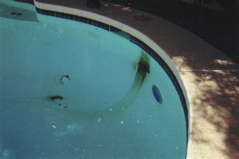 Ugliest Rebar Rust Stain Ever Underwater Operations