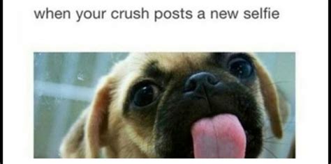 11 Funny Crush Memes That Nail What It Feels Like To Totally Obsess