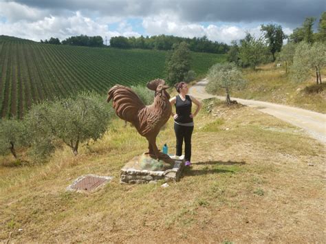 Chianti Classico Black Rooster Statue The Pantry Portfolio
