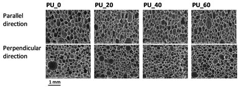 Bio Polyurethane Foams Modified With A Mixture Of Bio Polyols Of