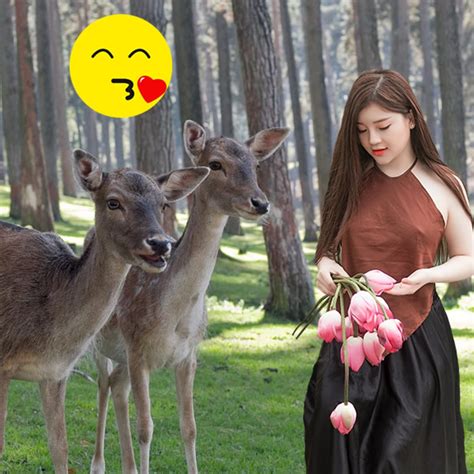 Android I In Photo Background Eraser Editor Ndir