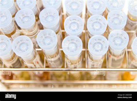 Microbial Sample Transport Tubes These Standard Containers Are Used To Securely And Correctly