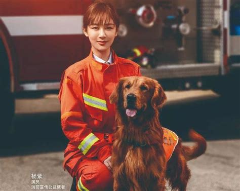 《青簪行》停拍原因曝光：楊紫不堪重負病倒，真沒有耍大牌 每日頭條