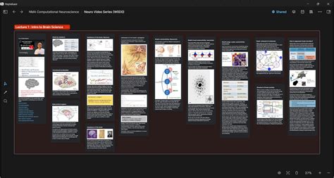 Computational Neuroscience And 100 Days Of Code By Iryna Koshelieva May 2024 Medium