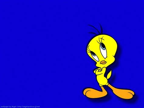 Tweety Wallpaper Tweety Bird Wallpaper 4784970 Fanpop