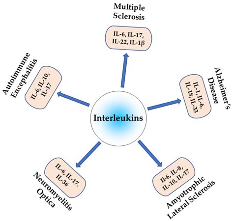 Autoimmune Neuroinflammatory Diseases Role Of Interleukins Pmc