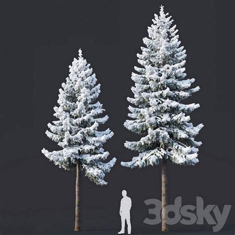 被雪覆盖的云杉树3d模型（objmax） 云瑞设计