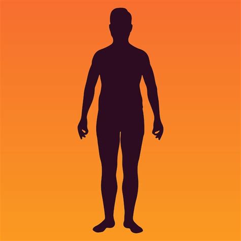 Silhouette Dun Homme Debout Vecteur Premium