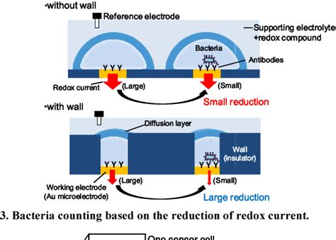 Figure 3 From Noise Immune Current Integration Based Cmos Amperometric Sensor Platform With 1 2