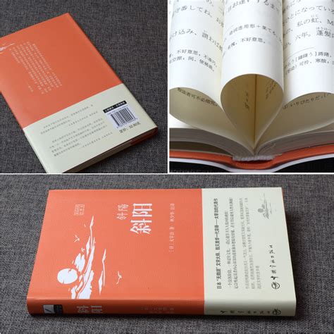 斜阳太宰治著日汉对照全译本外国青春文学小说书籍日本无赖派文学大师之作日语入门读物自学日文零基础学日语学习教程书籍搭起风了虎窝淘