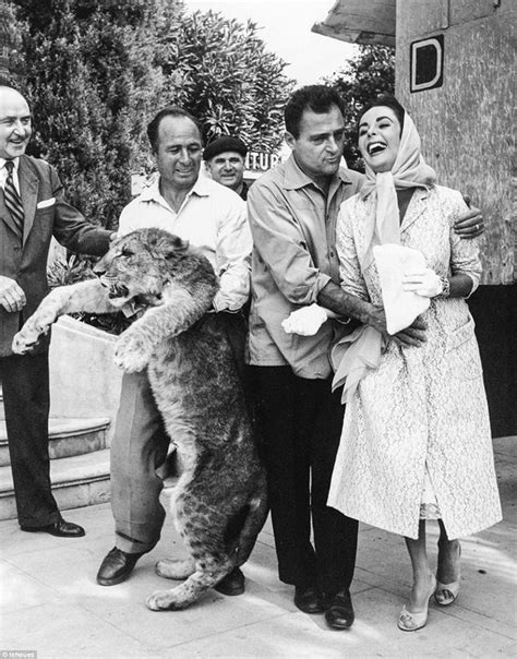 Tippi Hedren Tiger Hollywood Regency Era Felines Audrey Hepburn