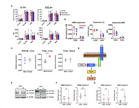 Investigation Of Tlr Expression And Signaling A Total Hd Pbmcs