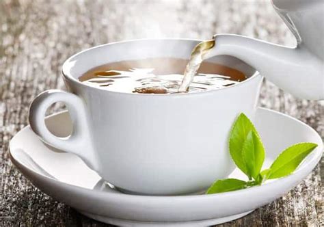 cha.jpeg – Salud Responde