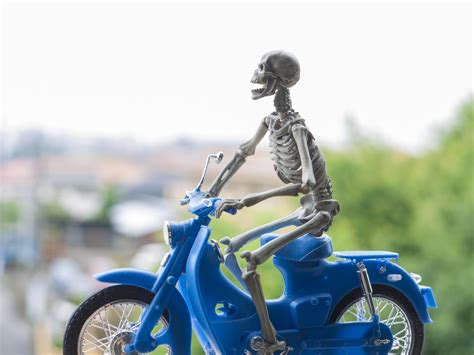 무료 이미지 자전거 장난감 혼다 해골 견습생 오토바이 타기 육상 차량 자동차 제조 4000x3000 719584 무료 이미지 Pxhere