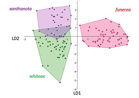 Results Of A Linear Discriminant Analysis Where 125 Museum Specimens Of Download Scientific