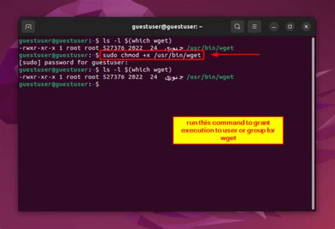 3 Quick Ways To Fix The Wget Command Not Found Error