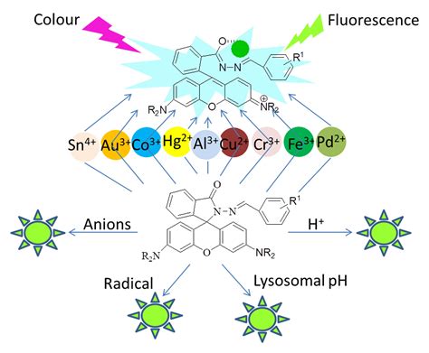 A Recent Update On Rhodamine Dye Based Sensor Molecules A Review Critical Reviews In