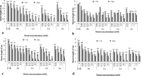 Effect Of Pgpr Inoculation On Root And Shoot Length Of Lactuca Sativa Download Scientific