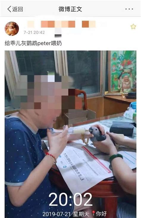 這種鸚鵡不能隨便養！深圳一女子微博曬養「愛寵」被舉報 每日頭條