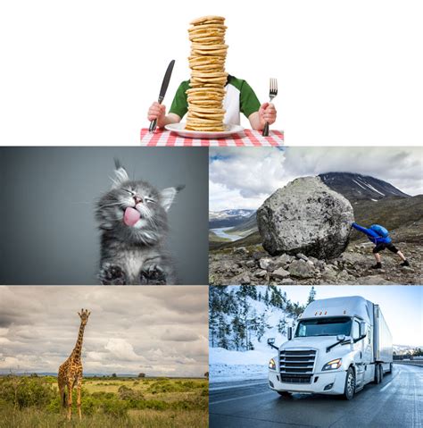 How To Teach Digraph Ck Do We Need The Rules Phonolovable Literacy