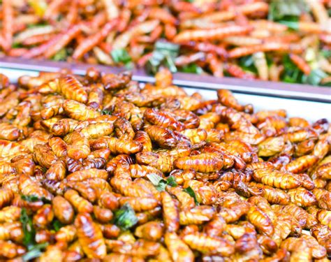 Bug Booster Womens Wellness