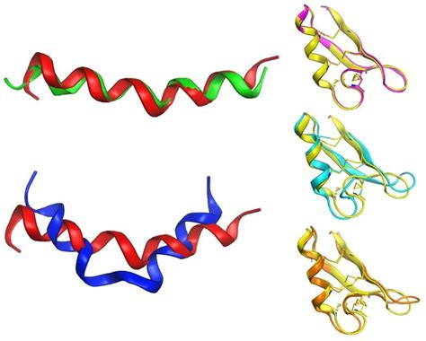 Conformational Differences Between Selected Peptides Studied In This