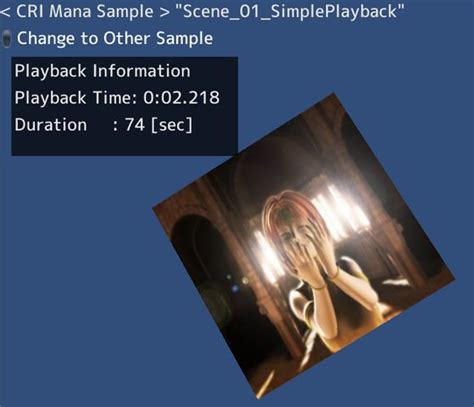 Criware Unity Plugin Manual Crimana Simple Playback