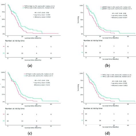 Results Of The Survival Analysis With Risk Tables And Kaplan Meier