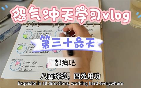 怨气冲天学习vlog 第三十六天 暴躁草莓梗 暴躁草莓梗 哔哩哔哩视频