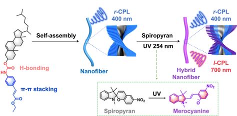 Tunable Circularly Polarized Luminescence Of Hybrid Supramolecular Nanofibers Based On A