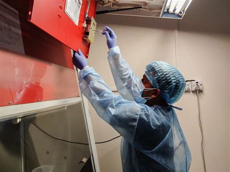 Biosafety Cabinet Installation And Maintenance Best Practices Esco