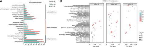 Functional Annotation Of The Assembled Transcriptome In Sd Md Md Ld Download Scientific